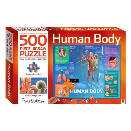 Educational Games | Jigsaw Puzzle 500 Piece Human Body