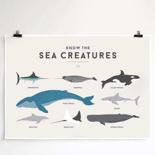 Kids Wall Decor SG | Educational Chart Sea Creatures